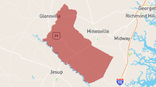 Georgia Long County - AtlasBig.com